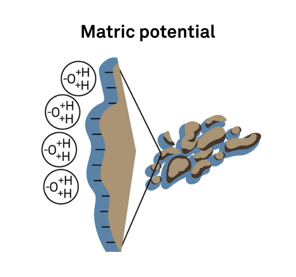 Water potential overview - https://learning.metergroup.com